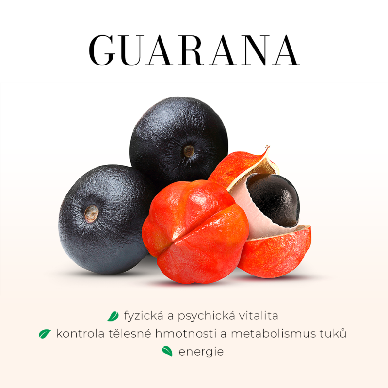 MIGREEN - 90 tobolek - Při pravidelném používání se snižuje četnost a ...